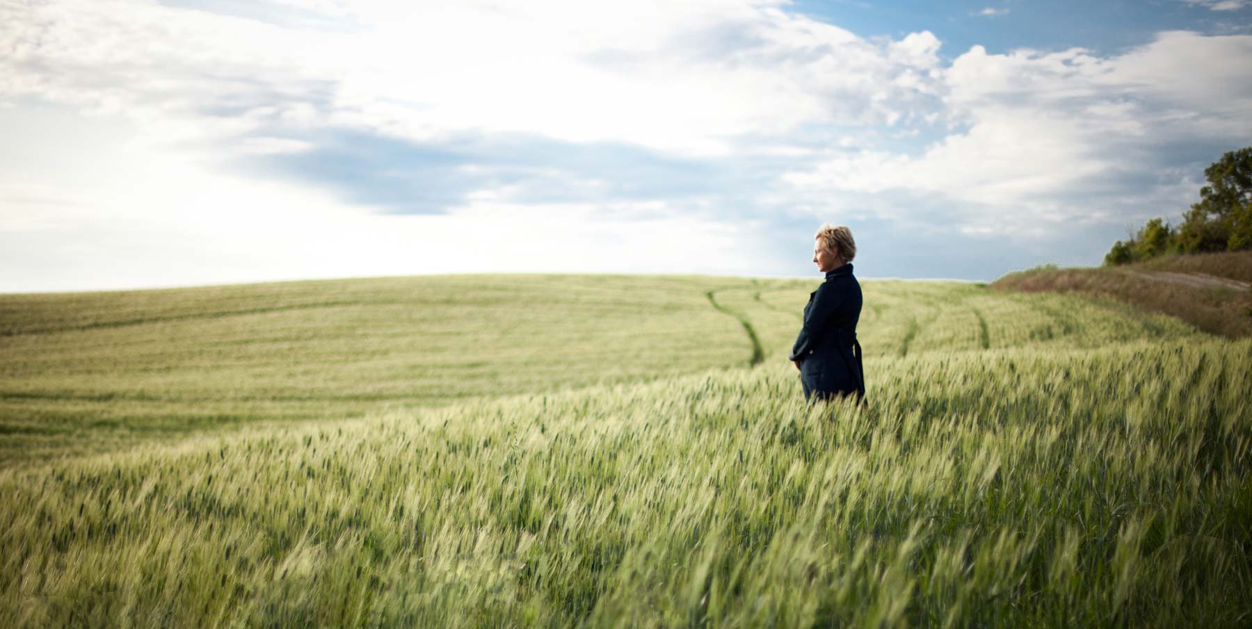 Consumers - Brazil (EN)
