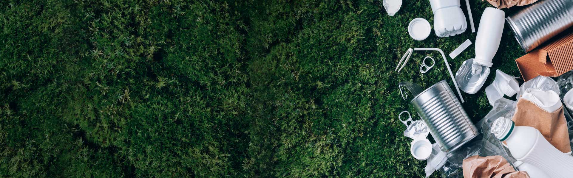 Home • About European Recycling Platform • ERP Global